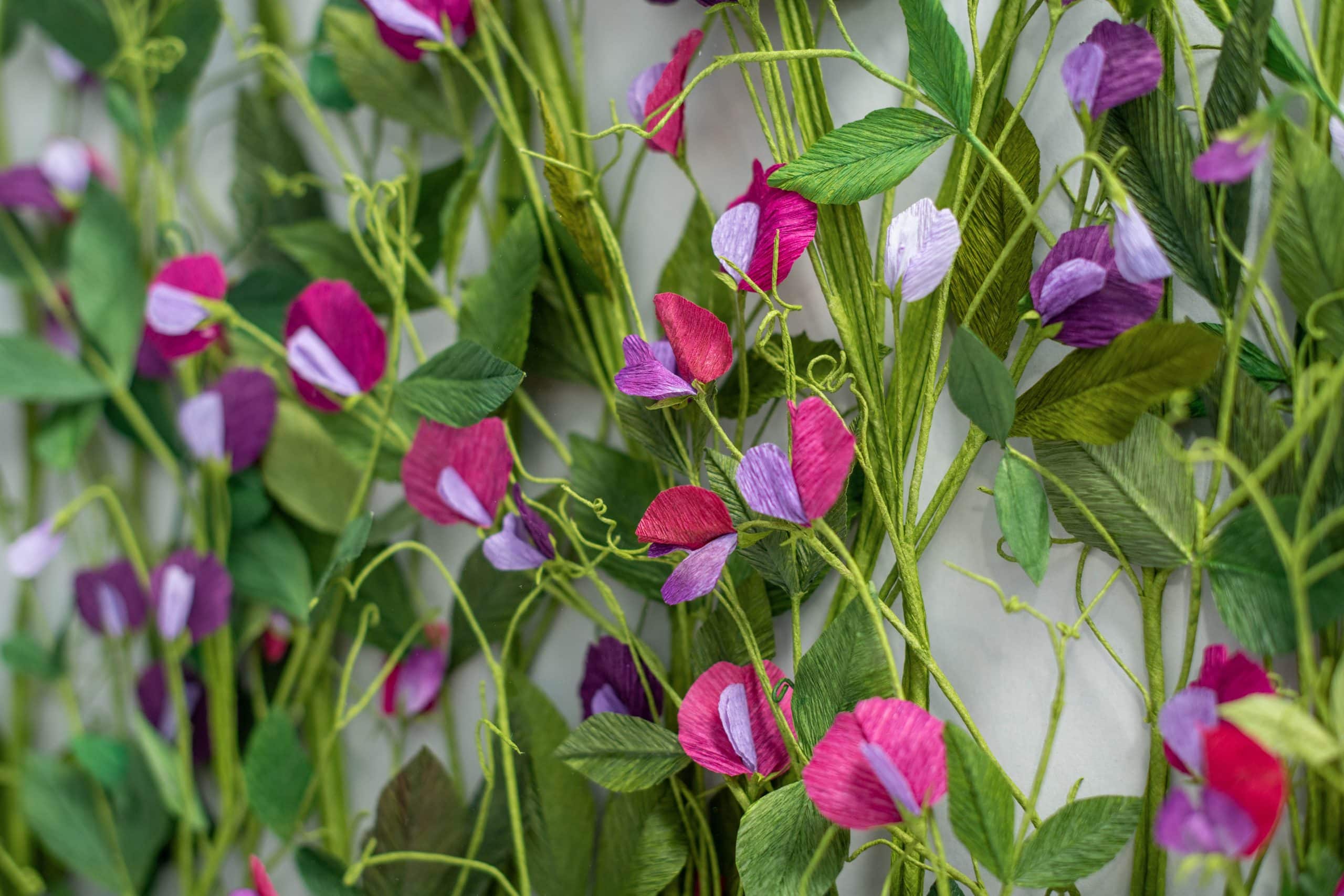 A Petal Unfolds - Design-Nation